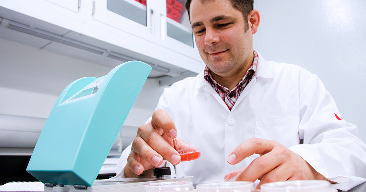 Culinary Innovation and Food Technology (Co-op) Program | Niagara College