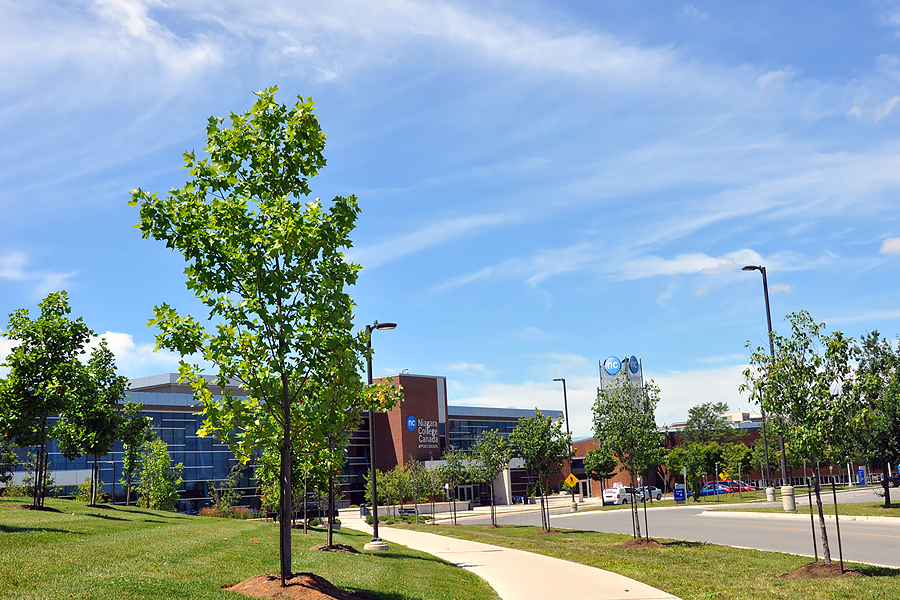 Join your colleagues for Niagara Day, Aug. 29 at the Welland Campus ...