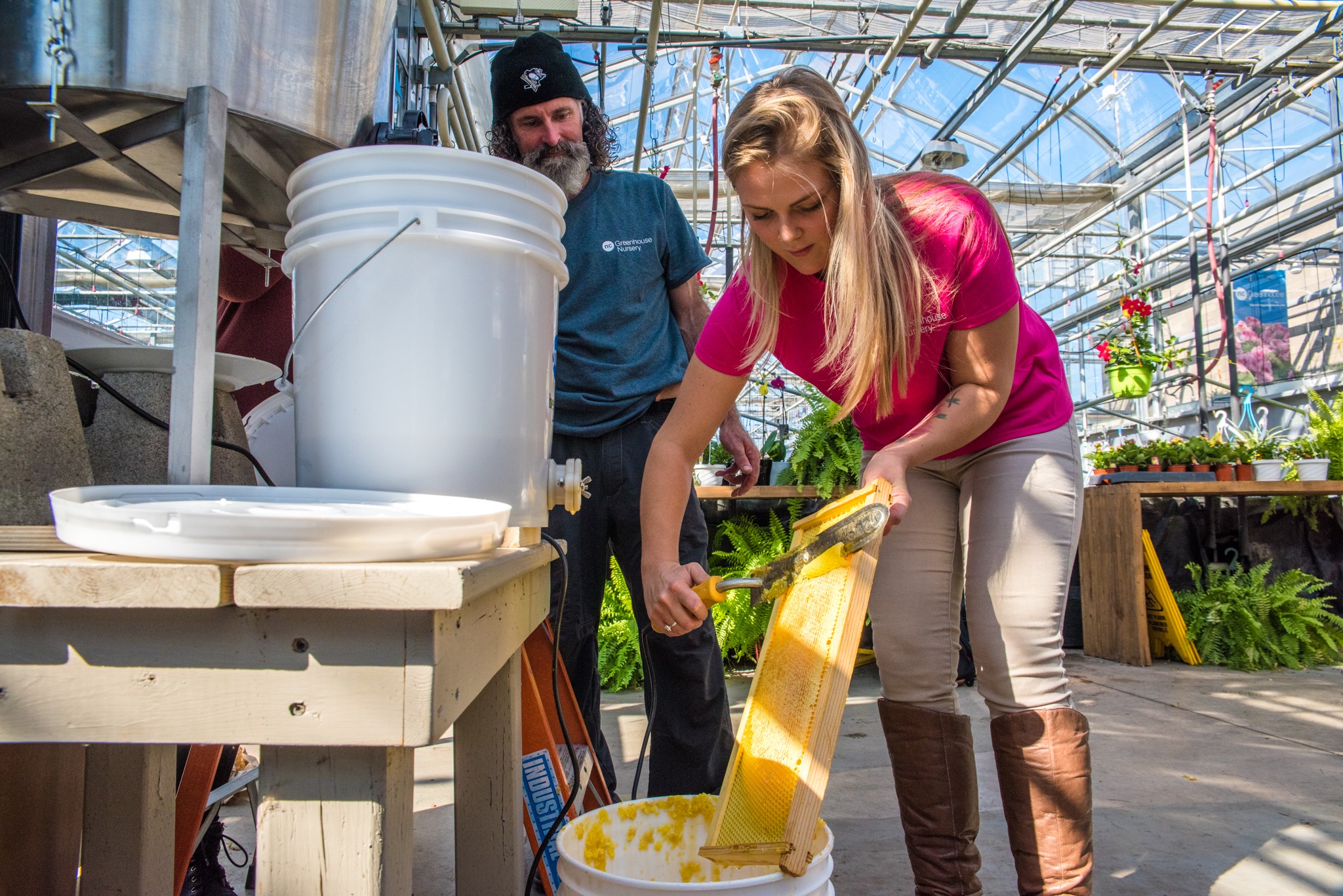 Snapshot: First honey harvest a sweet milestone for NC | InsideNC