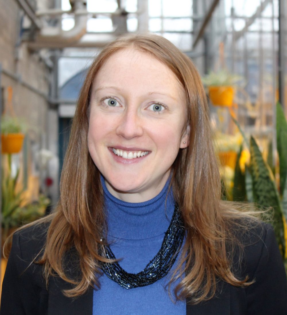 Planting seeds for success: Horticulture prof co-authors new crop ...