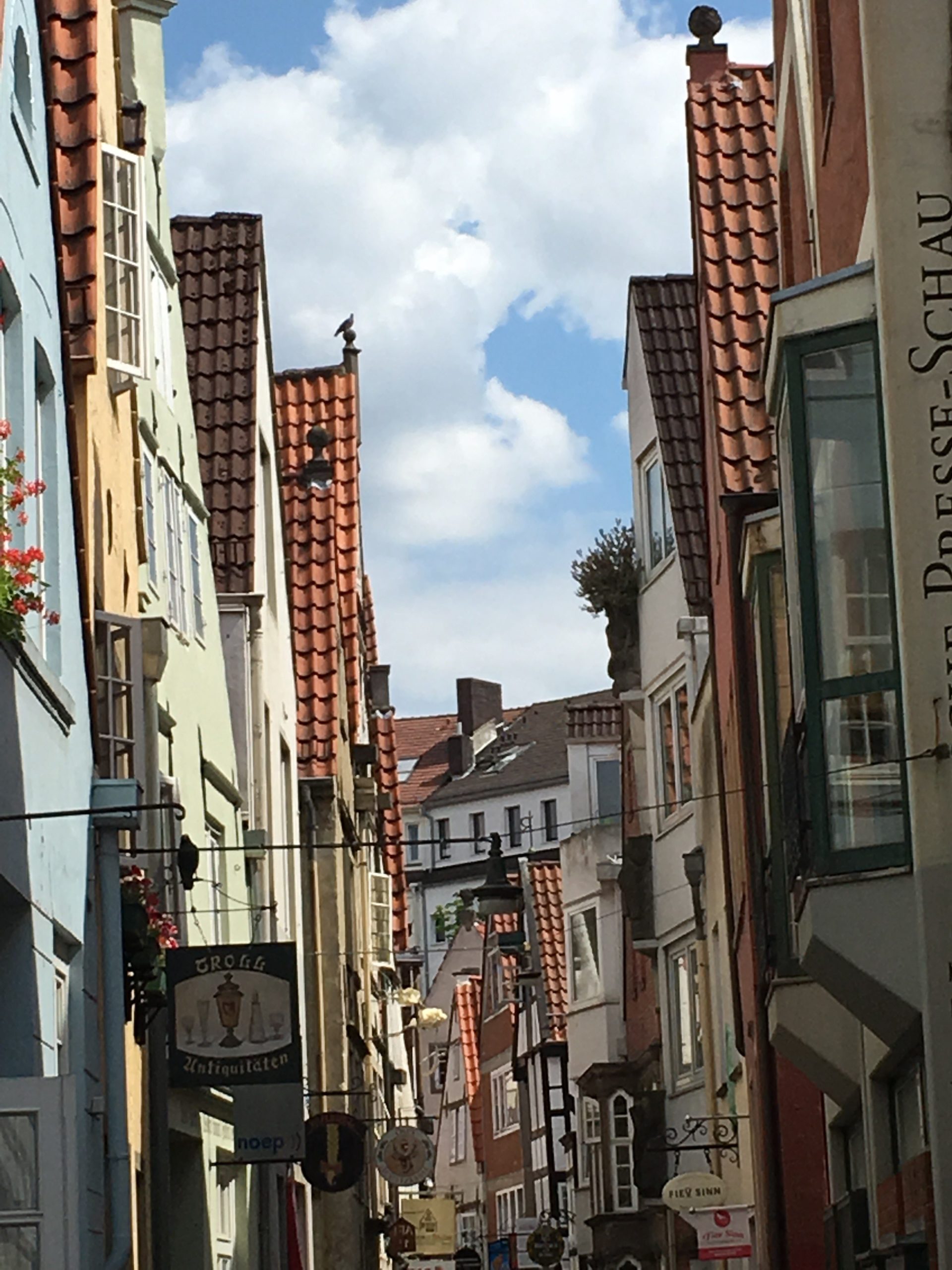 Be World Ready: Students prepare for take-off this spring on three ...