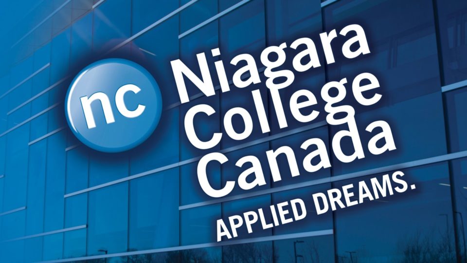 Video meetings: Virtual backgrounds and tips for enhancing your ...