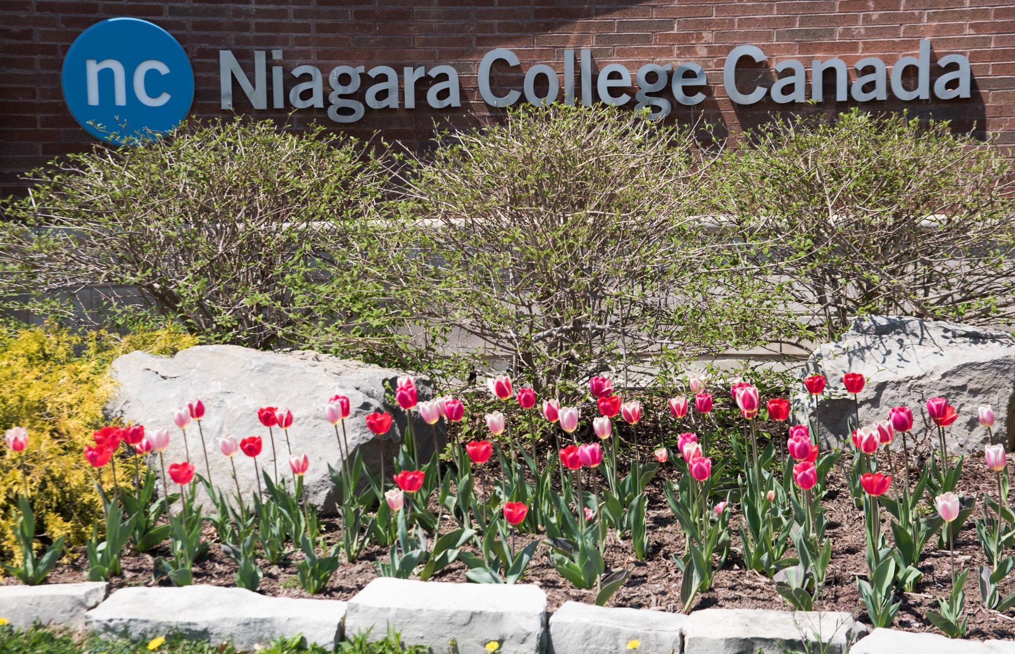 What's open/closed at Niagara College for Easter weekend | InsideNC