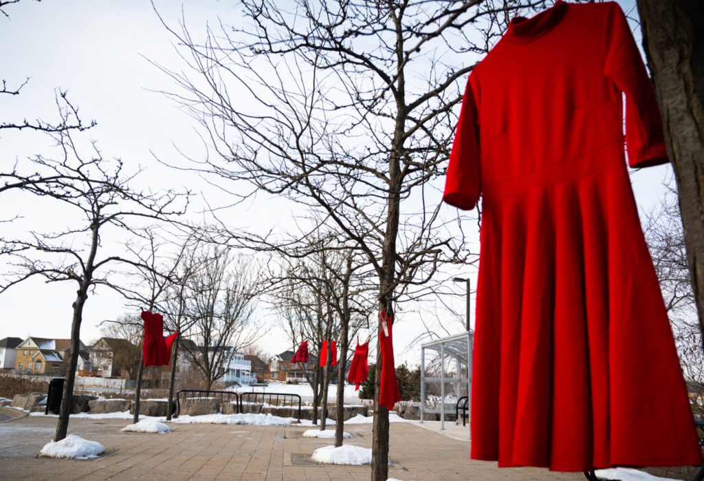Donate a red dress, help address violence through NC's REDress Project ...