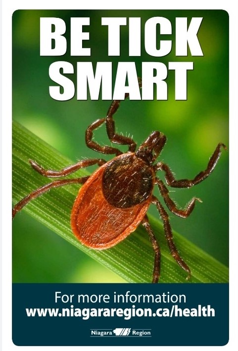 College community encouraged to be tick smart on campus | InsideNC