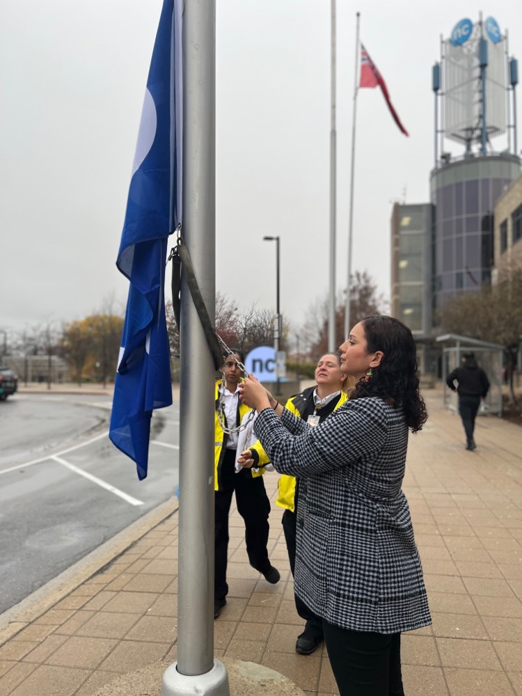 Niagara College raises the Métis flag in honour of Louis Riel Day ...