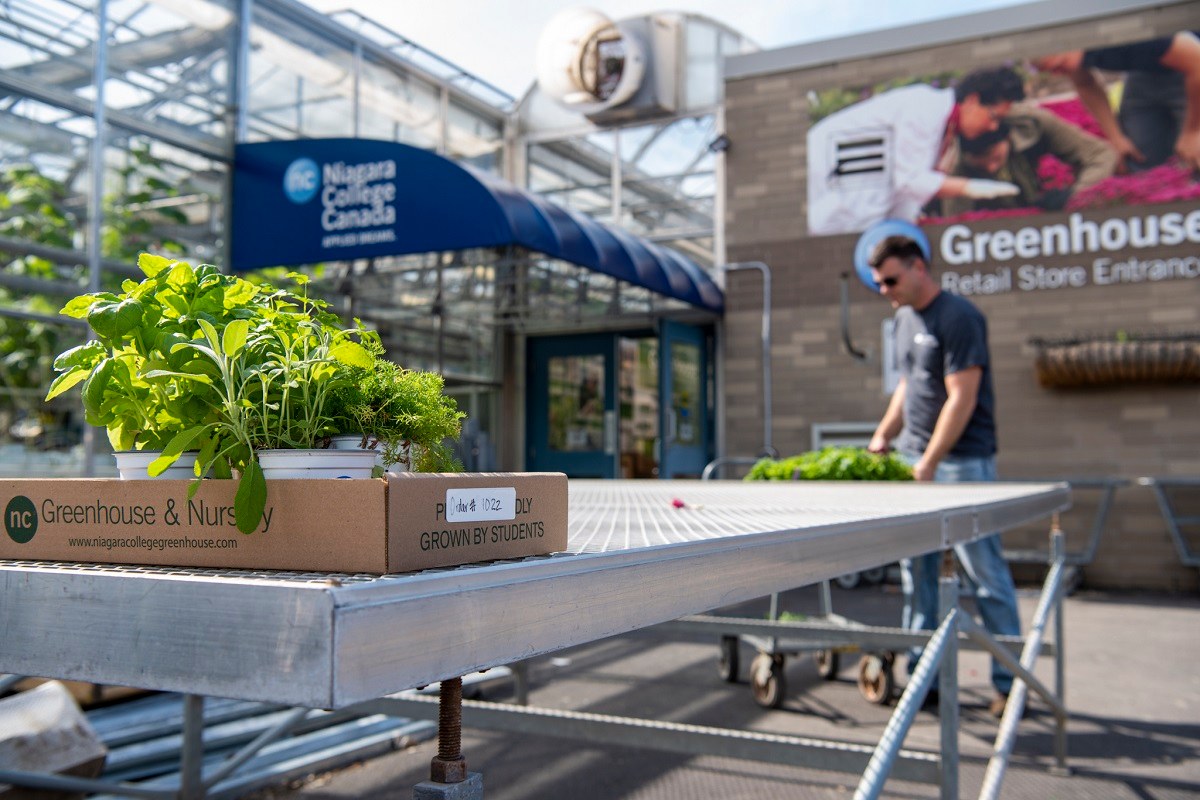 Temporary changes to Teaching Greenhouse access during renovations ...