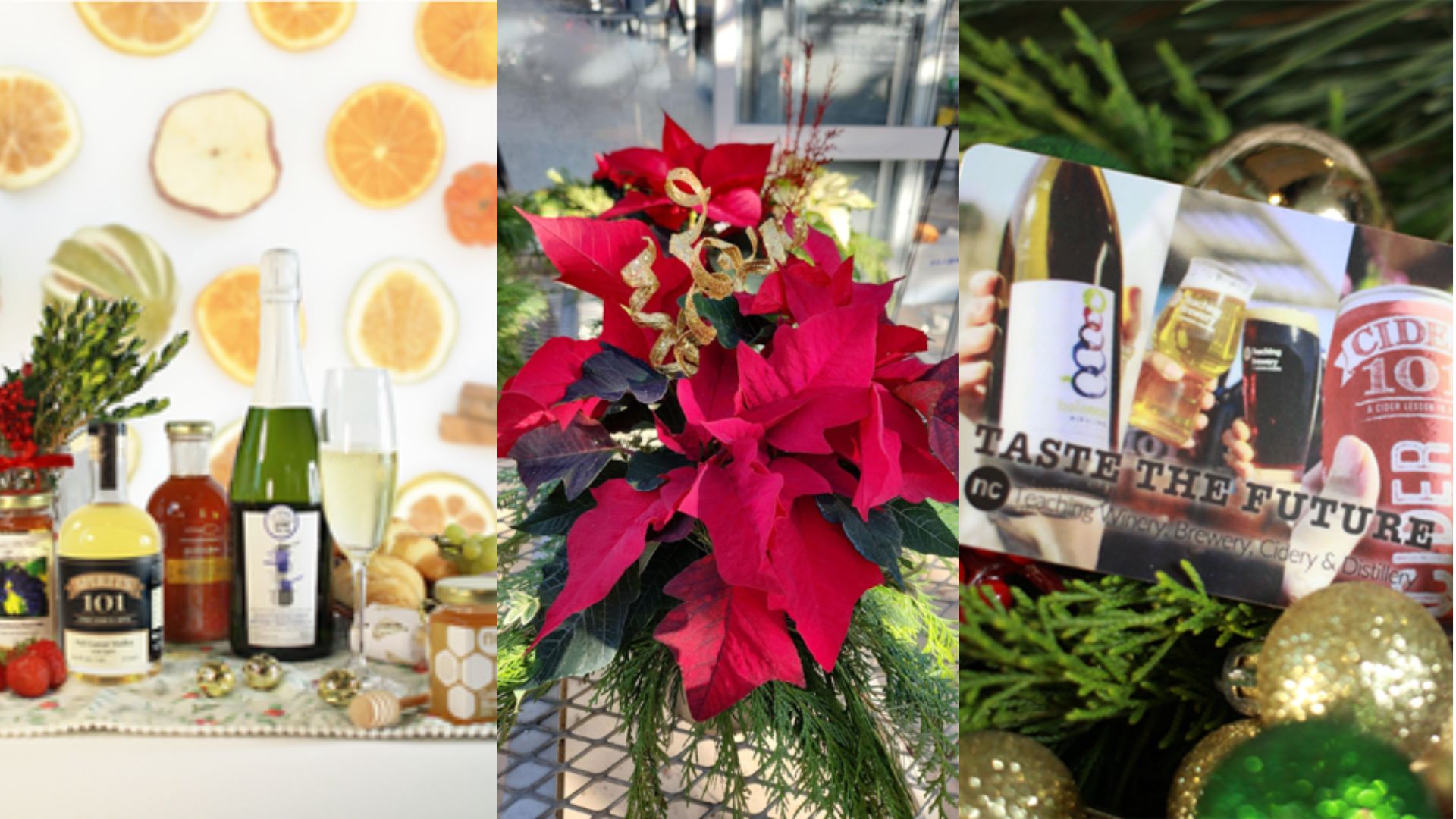 Discover unique holiday gift options at NC's Learning Enterprises ...