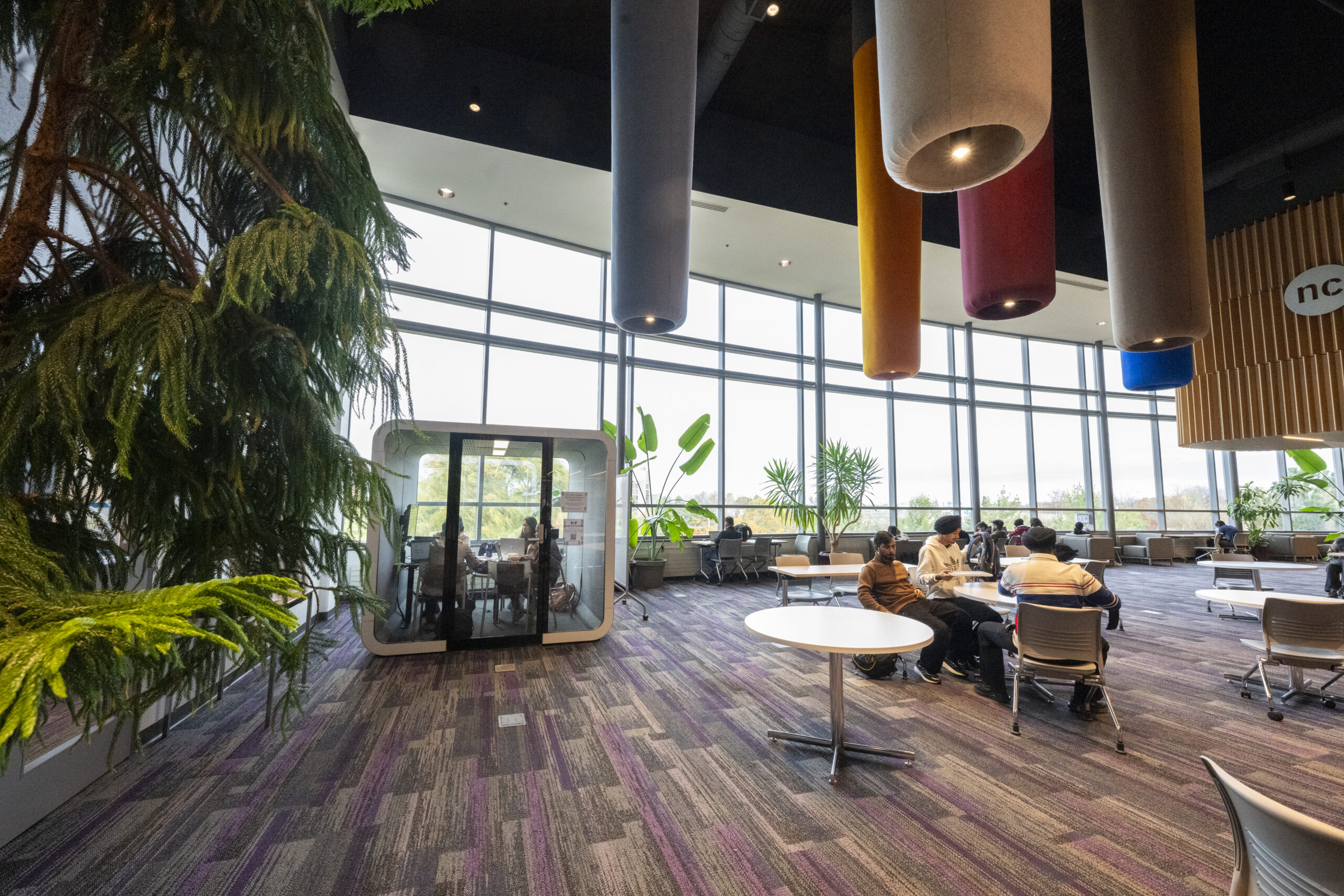 Improving accessibility in NC's Libraries and Learning Commons | InsideNC