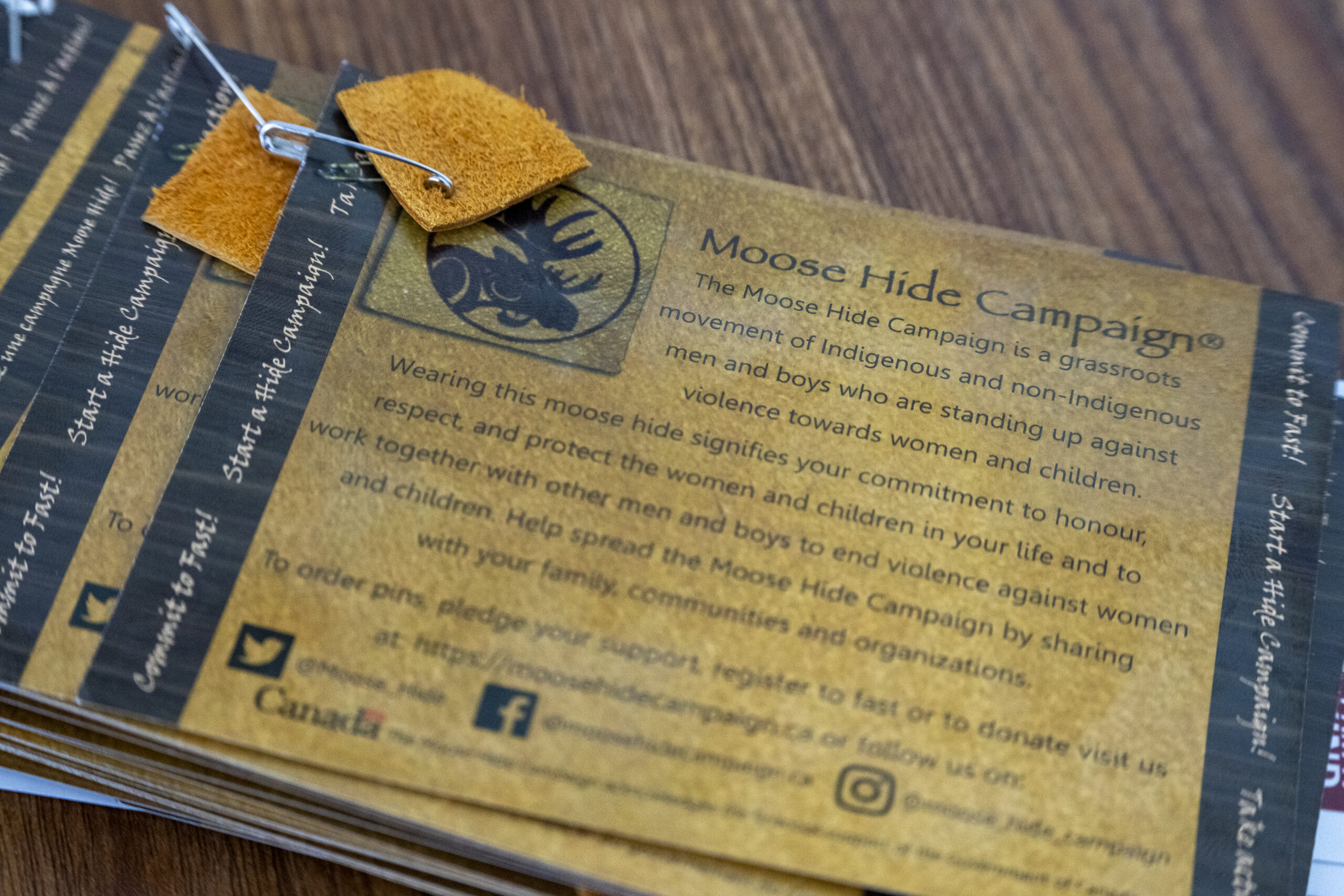 Coming together in ceremony at NC's Moose Hide Campaign event | InsideNC