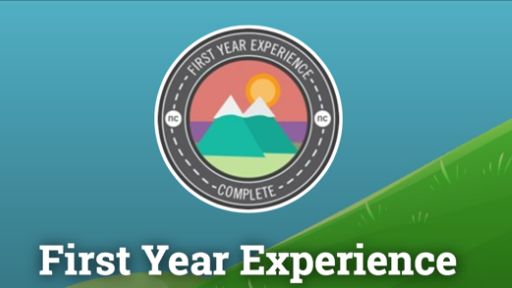 CSEL launches First Year Experience pilot | InsideNC