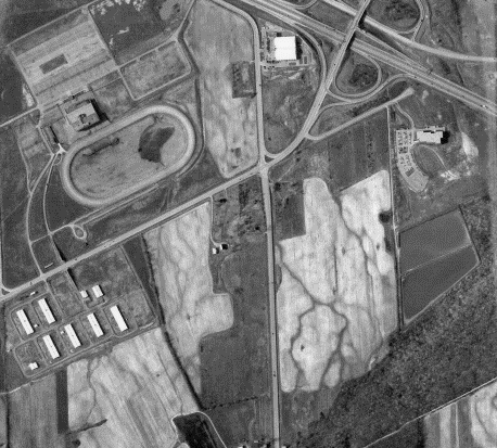 Wetlands Restoration | NC Sustainability | Niagara College