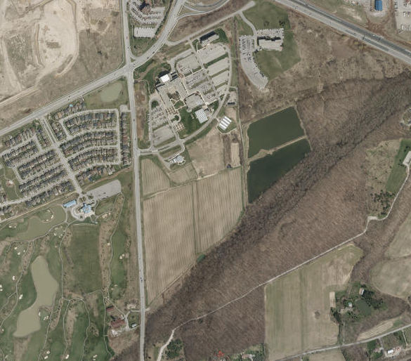 Wetlands Restoration | NC Sustainability | Niagara College