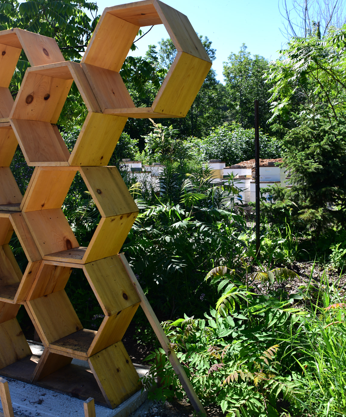 Campus as a Living Lab | NC Sustainability | Niagara College