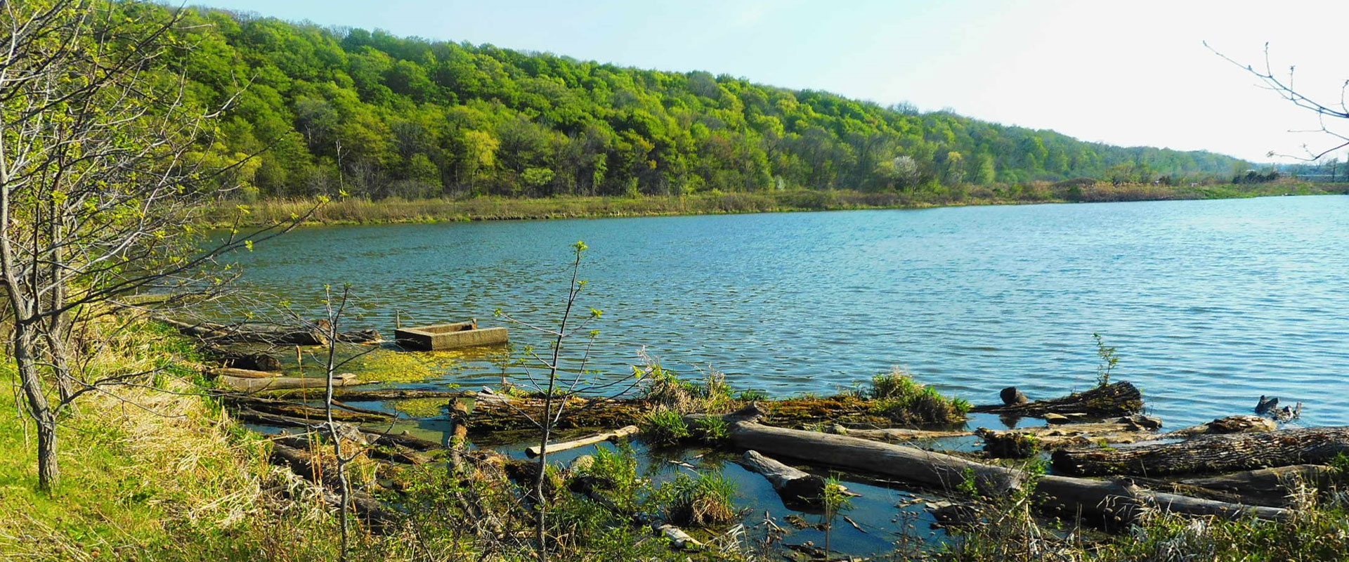 Wetlands Restoration | NC Sustainability | Niagara College