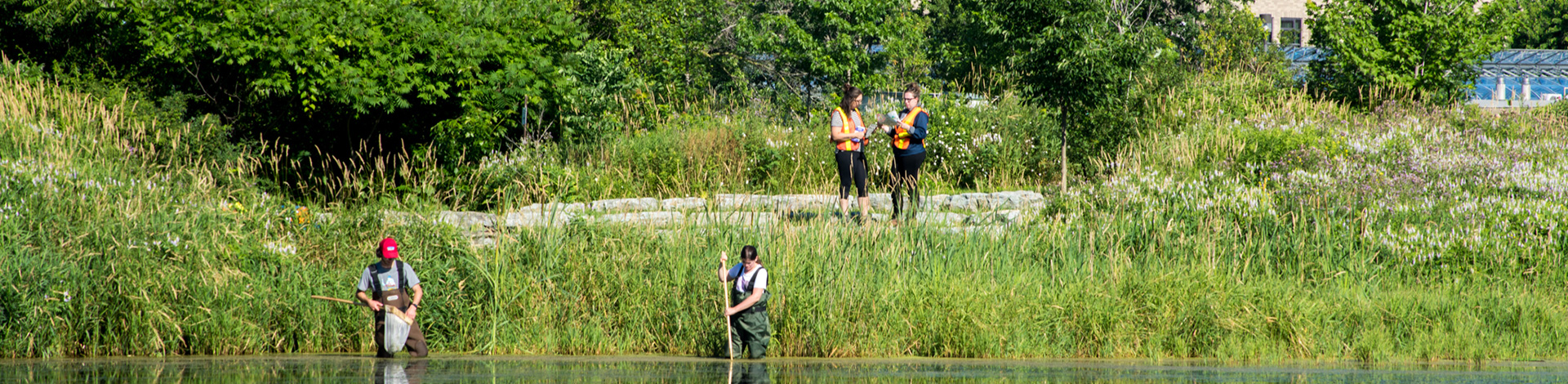 NC Sustainability Niagara College nc-sustainability-niagara-college