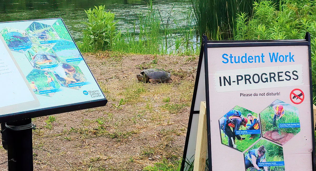 Area of Focus: Learning | Niagara College Sustainability Plan