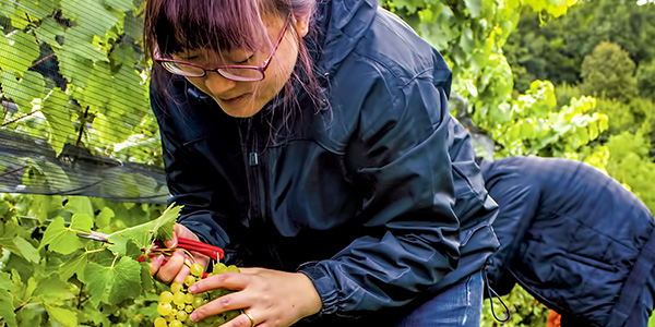 Brewmaster and Brewery Operations Management Program | Niagara College