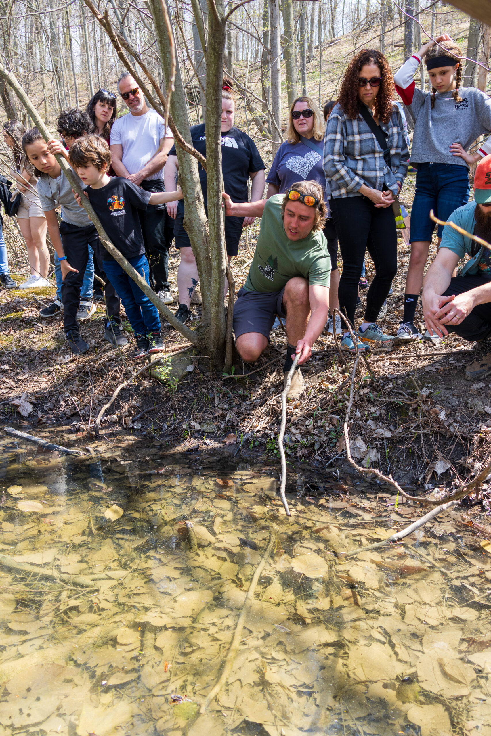 Calling nature lovers: Learn about native species at Niagara College’s Bioblitz on April 13 ...