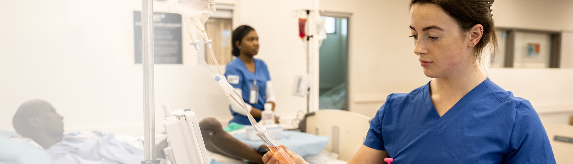 Niagara College Canada