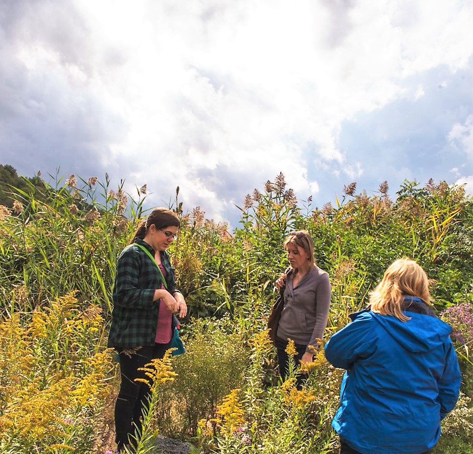 Niagara College greens its way to a Canadian first with Audubon ...